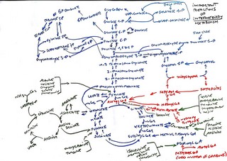 biochemistry